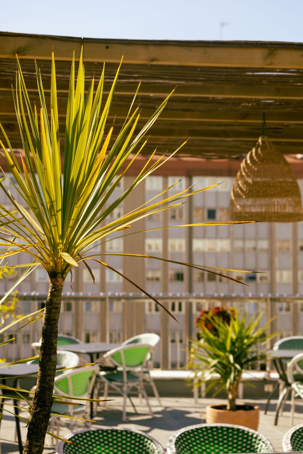 Bellini Rooftop - Restaurante, cócteles, picoteo y primera copa